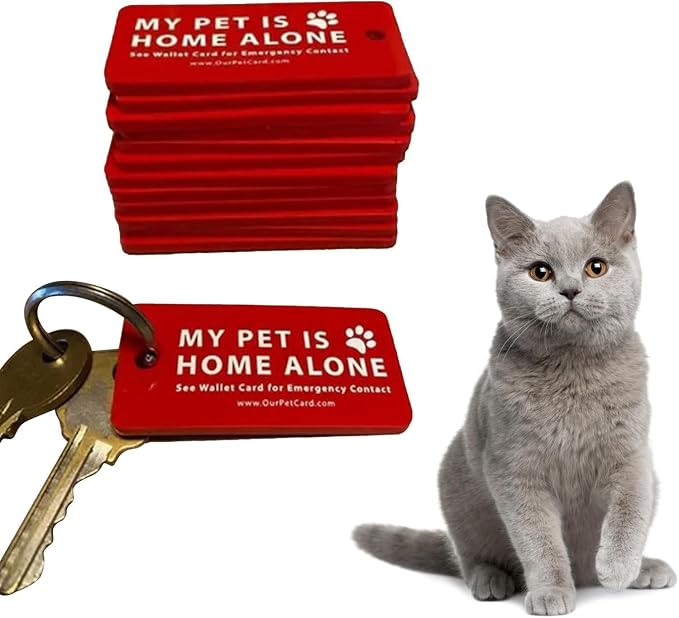 Amazon.com: Red Dog Cat are Home Alone Alert Card and Key Tags with ...