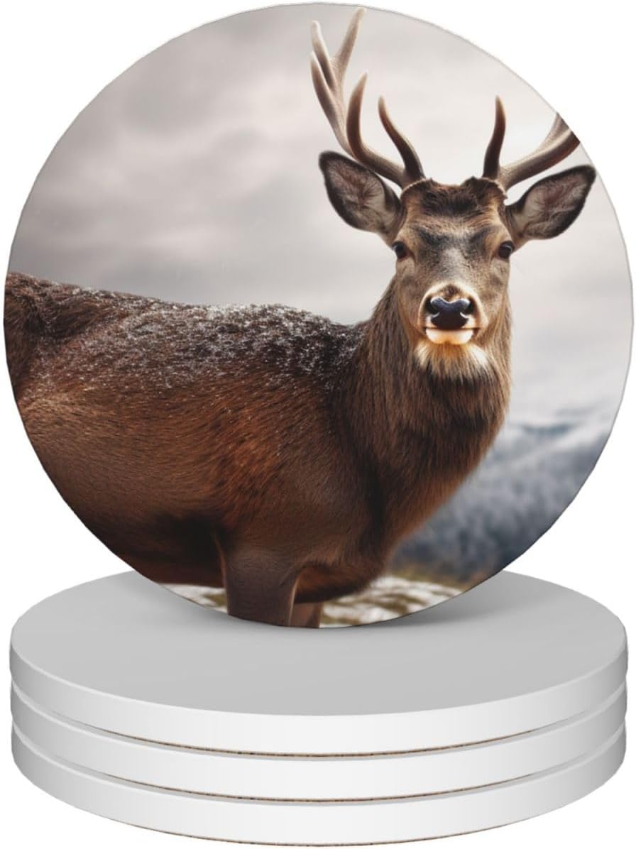 Amazon.com: Wild Animals Deer Ceramic Coaster Set of 4 Absorbent Drink ...