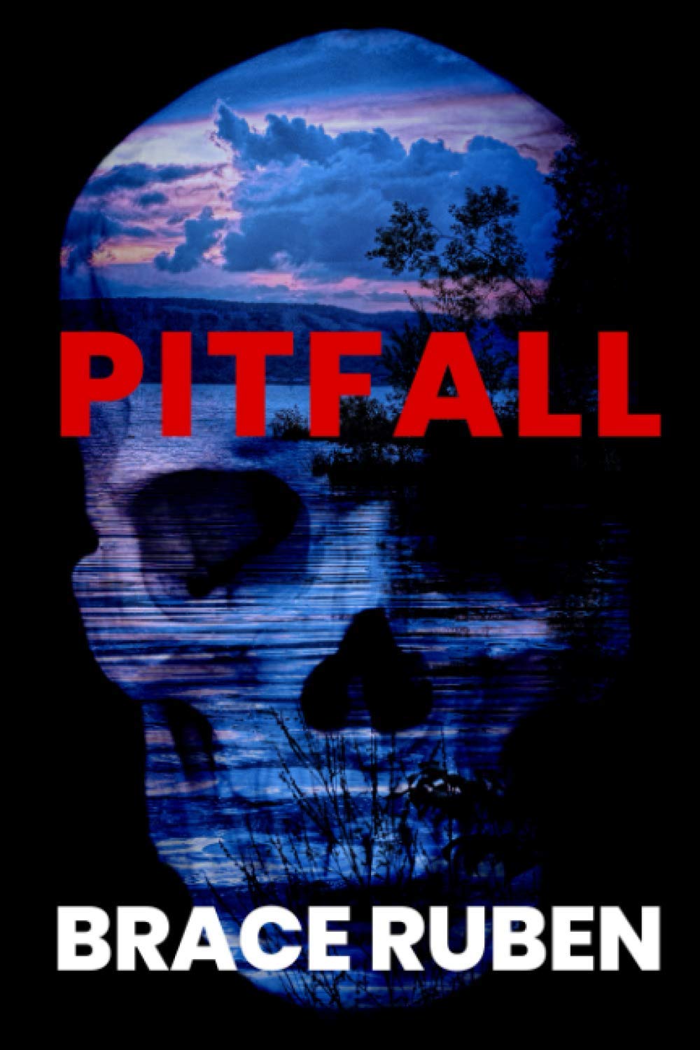 Amazon.com: Pitfall: 9781953910264: Ruben, Brace: Books