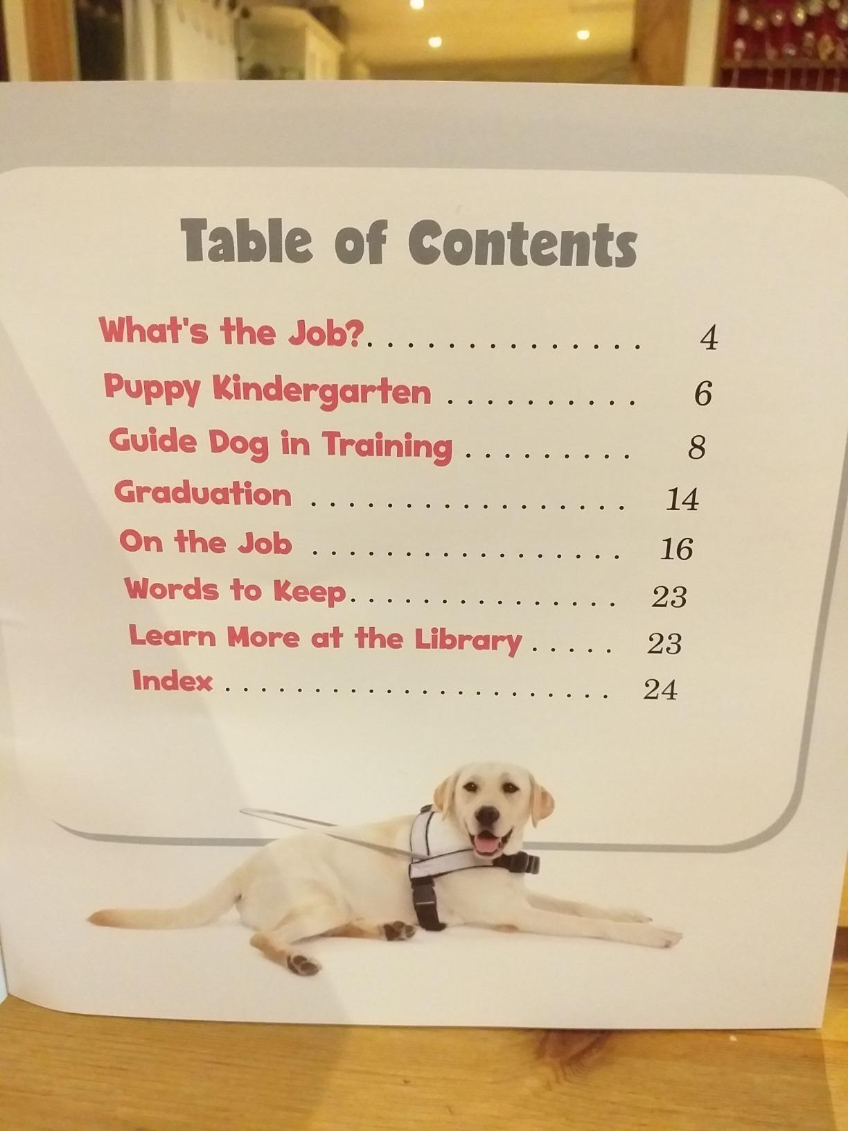 Guide Dogs for the Blind (Animals That Help Us (Look! Books (TM ...