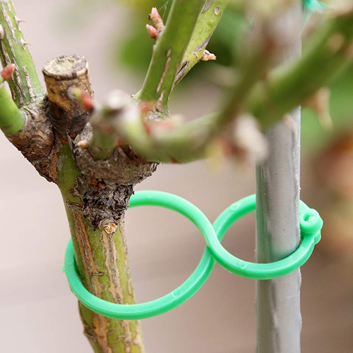 Snapklik.com : Plant Twist Clip Ties Garden Plant Support Clips ...