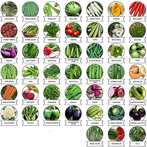 Indian Green Vegetables List