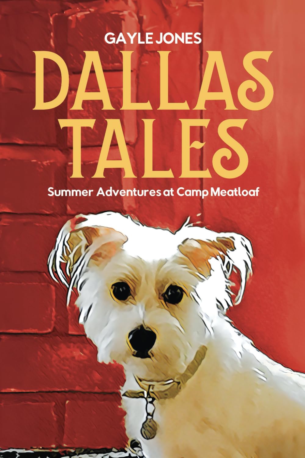 Amazon.com: Dallas Tales: Summer Adventures at Camp Meatloaf ...