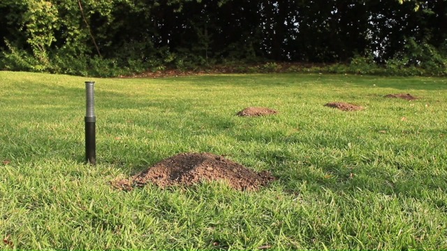 Watch GopherHawk® Promotional Video on Amazon Live