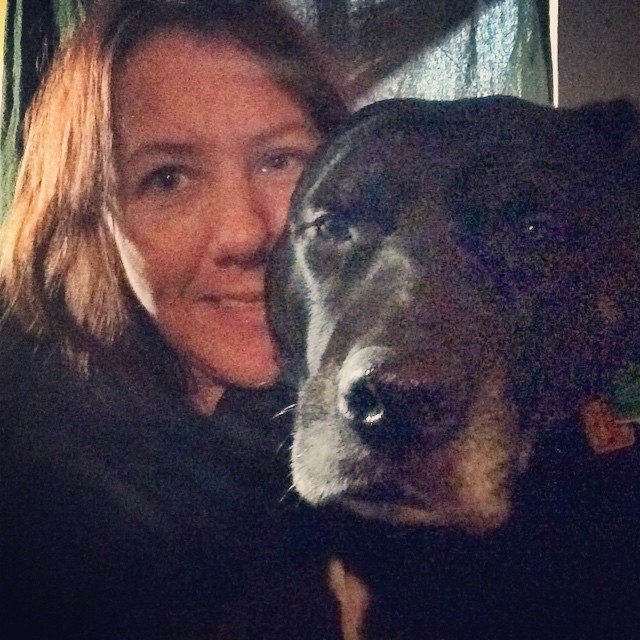 Amazon.com: Whereabouts Unknown: 20 Mysterious Missing Person Cases (Missing Person Cases From ...