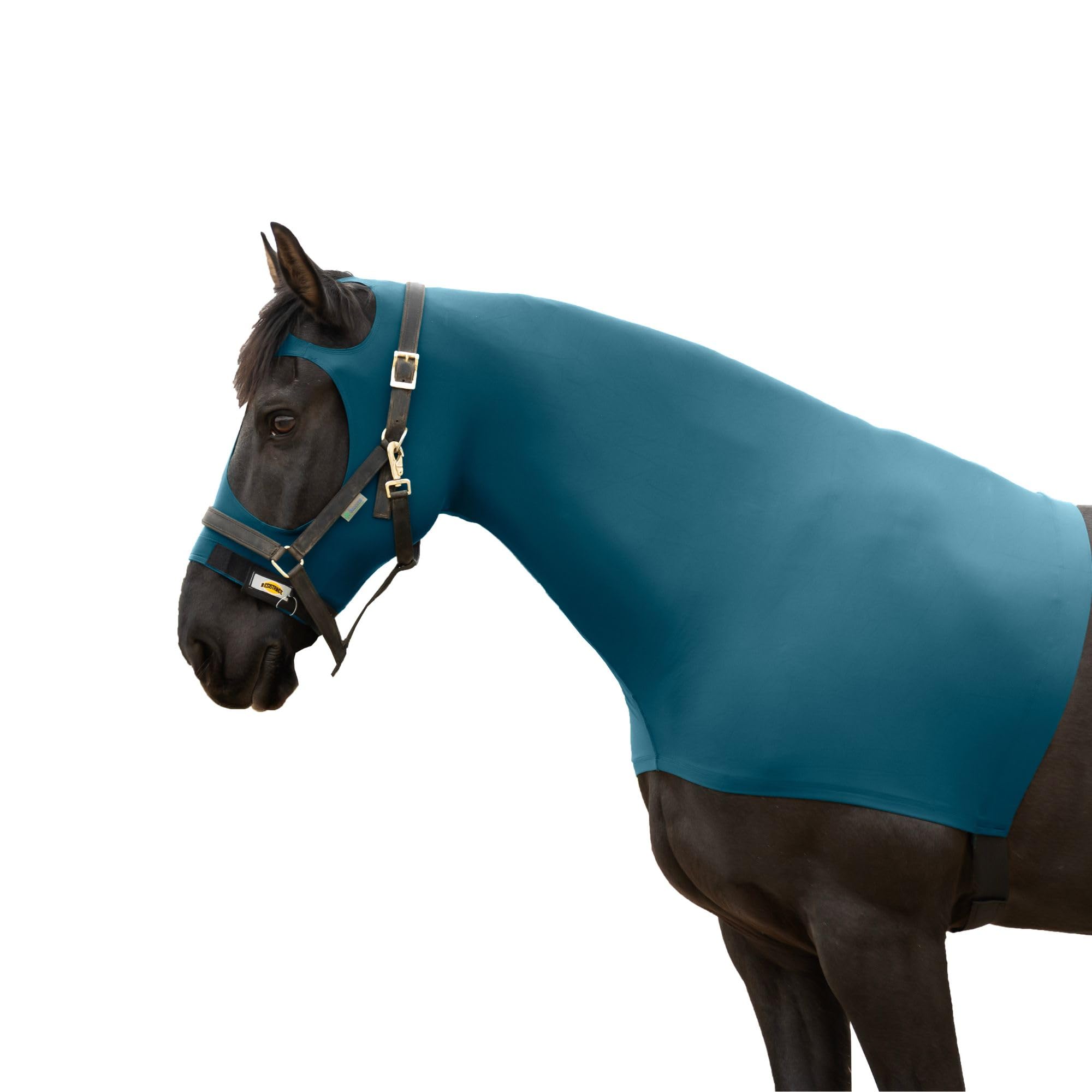 Snapklik.com : RESISTANCE Premium Hood Pull On-Face