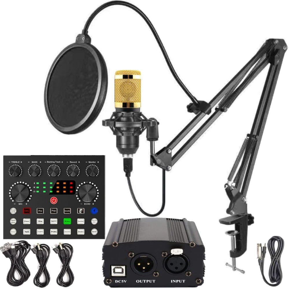 MOCKING BIRD BM800 Microphone Set with 48V Phantom Power & V8s Sound ...