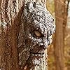 Amazon.com: Outdoor Garden Halloween Tree Bark Face Decoration ...