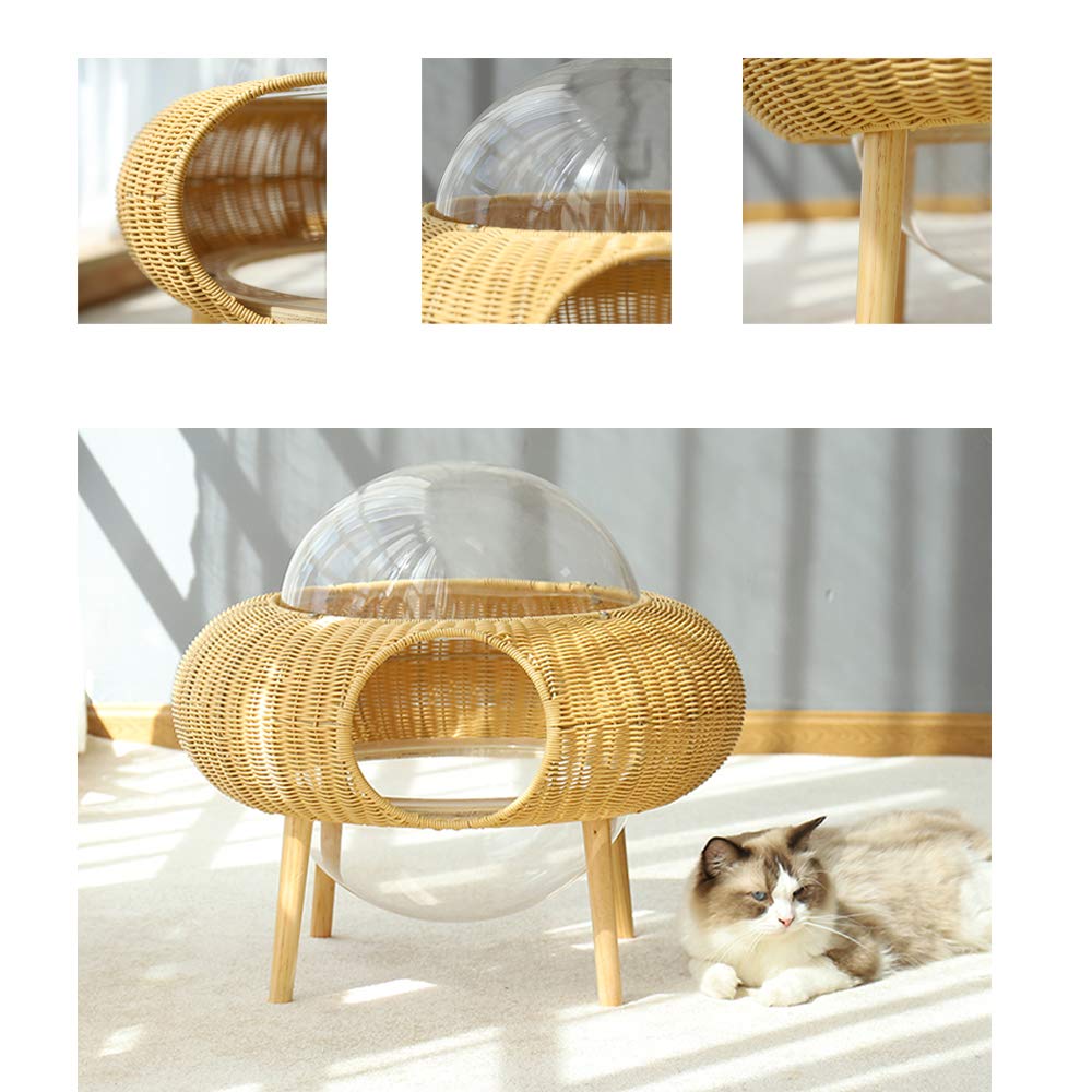 Pomelo Cat MUNCHKIN COOL CAT PURPPLE 51924 Pomelo
