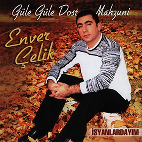 Amazon.com: Güle Güle Dost Mahzuni : Enver Çelik: Digital Music