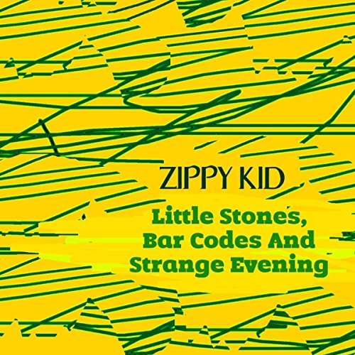 Amazon.com: Little Stones, Bar Codes and Strange Evening : Zippy Kid ...