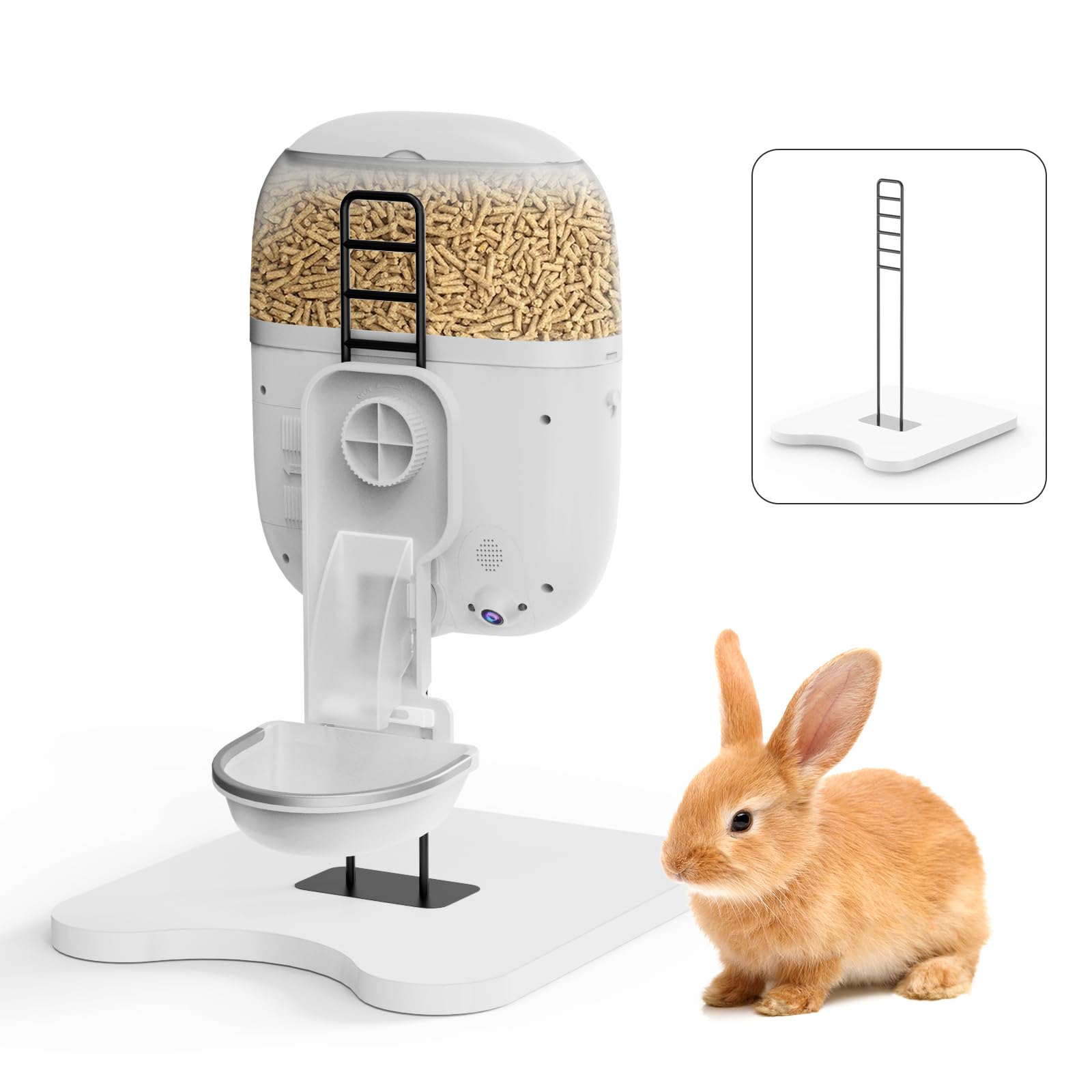 Amazon.com : Hanging Automatic Rabbit Feeder with Elevated Holder, Pet ...