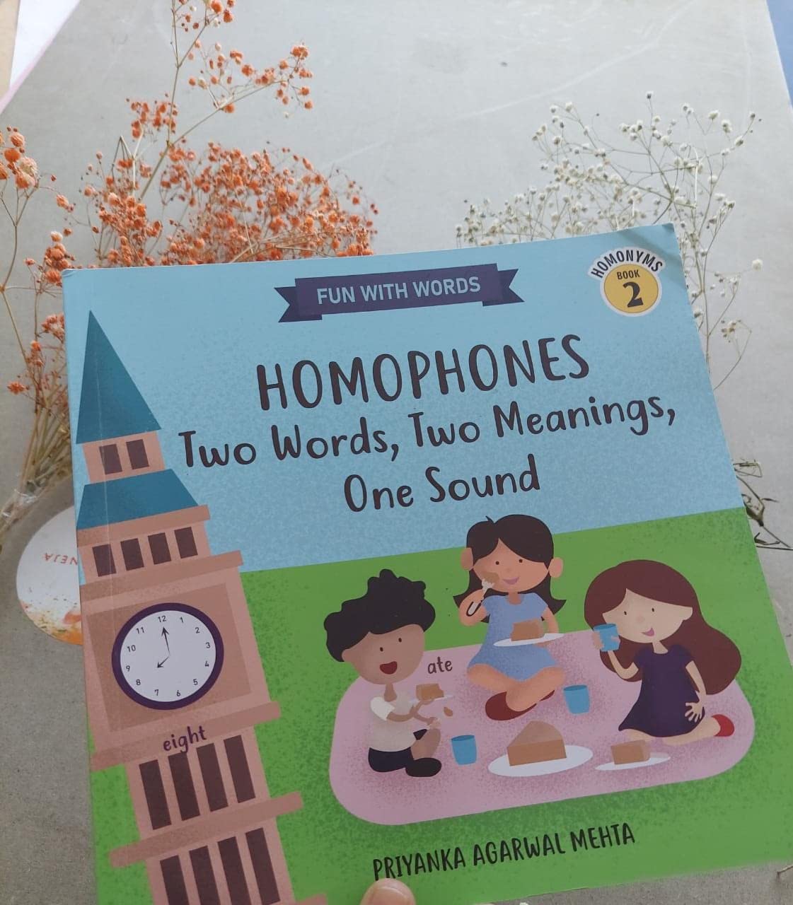 Buy SAM & MI Homophones: Two Words, Two Meanings, One Sound - Story ...
