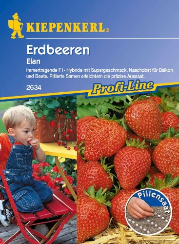 Strawberry 'Elan' F1: Amazon.de: CDs & Vinyl