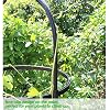 Garden Trellis for Climbing Plants, Rustproof Metal Pipe 6ft high ...