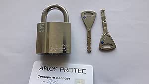 Abloy PL330 /25 N Protec Key System /with 2 Keys and Keycode Card - Amazon.com