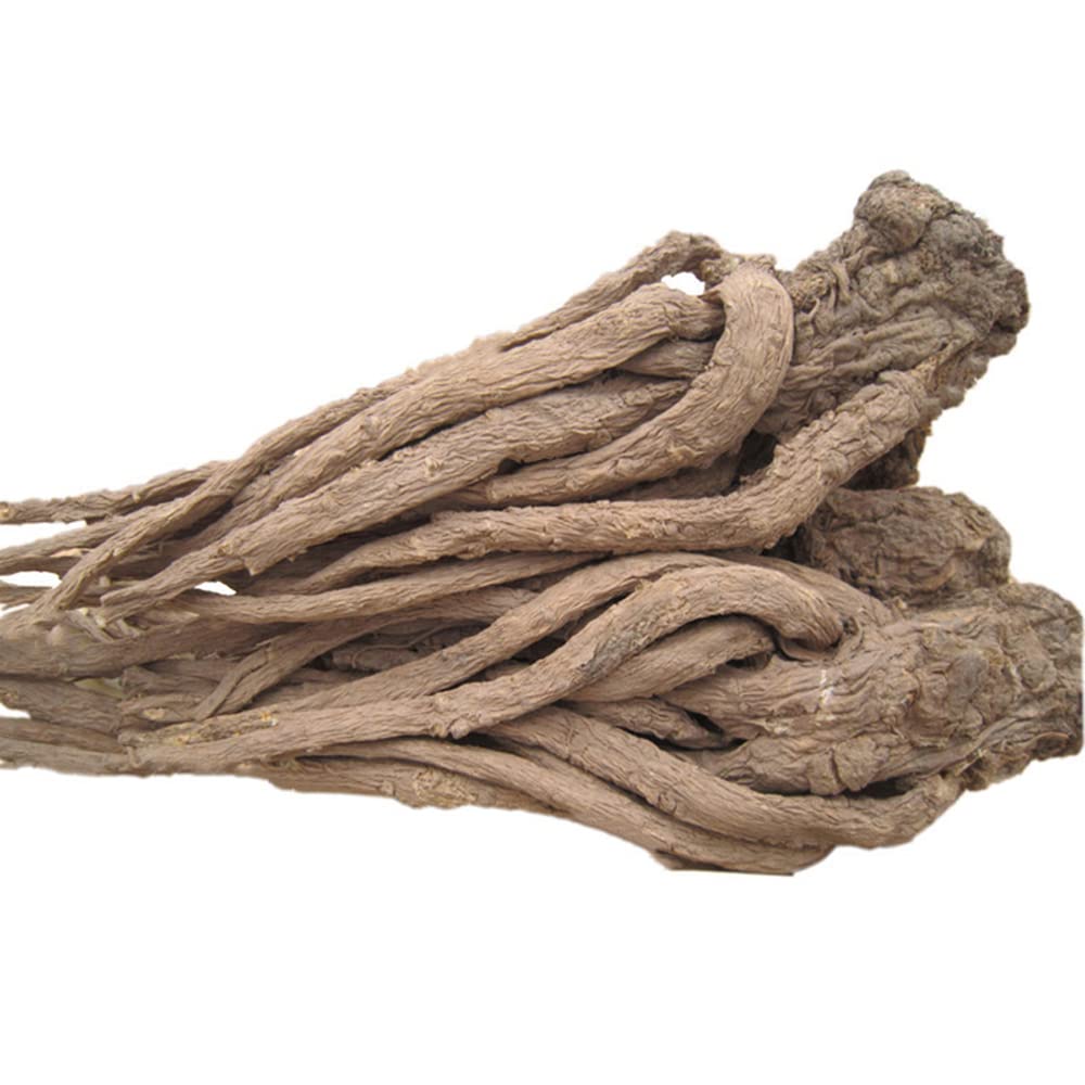 Buy Angelica Sinensis,Chinese Angelic,Chinese Angelica Root,Radix ...