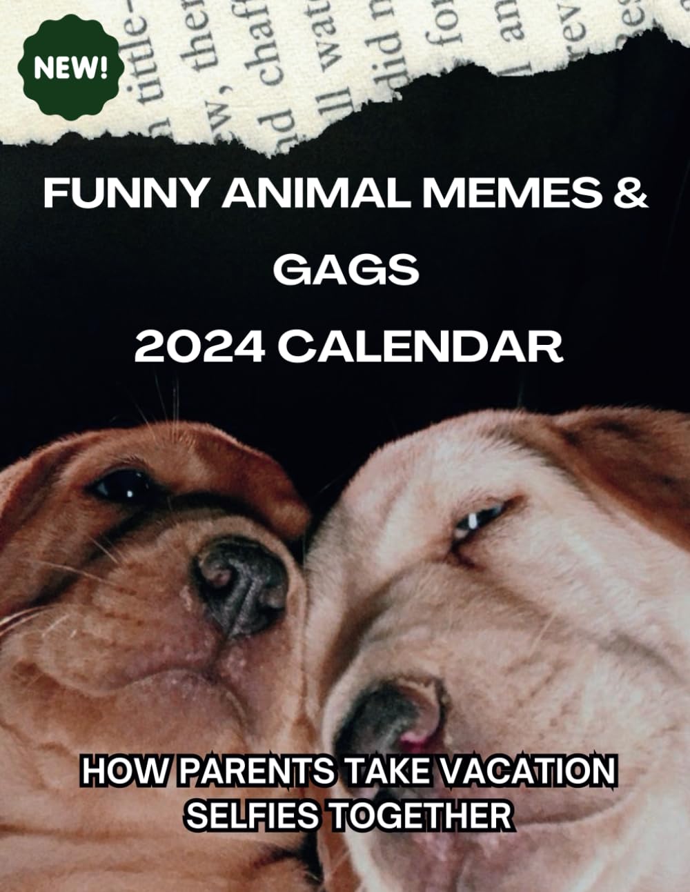 Hilarious Animal Memes Memes: Funny Animal Memes Cute & Funny Memes