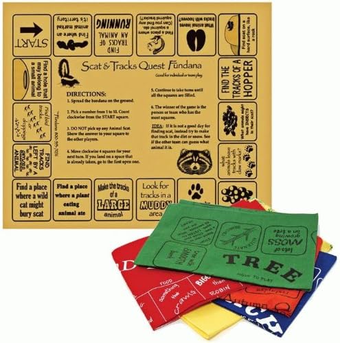 Amazon.com: Tree Quest Fundana : Toys & Games