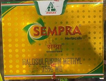 Dhanuka Sempra (Halosulfuron Methyl 75% WG) 36gm : Amazon.in: Garden ...