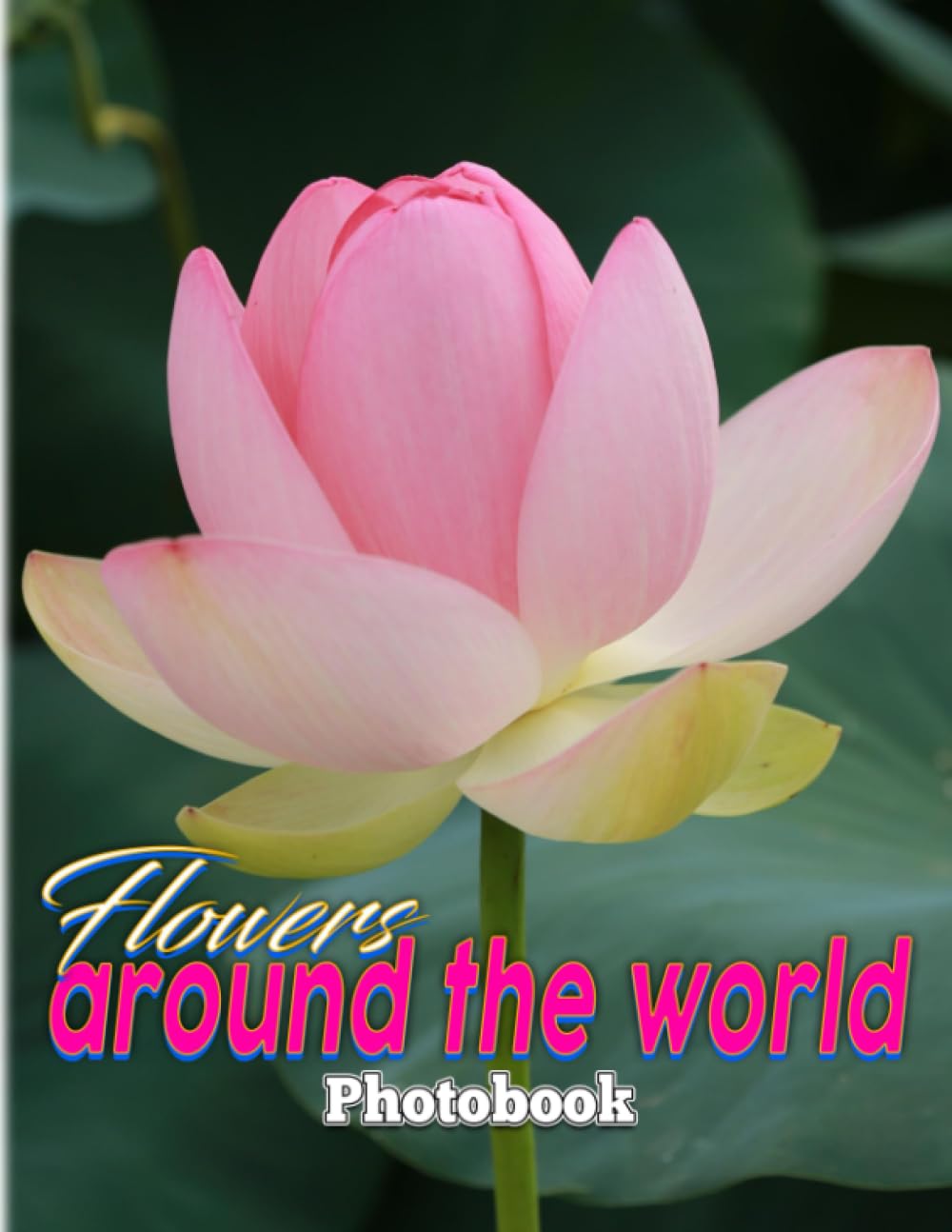 Flowers around The World PhotoBook: Collection Beautiful in The World ...