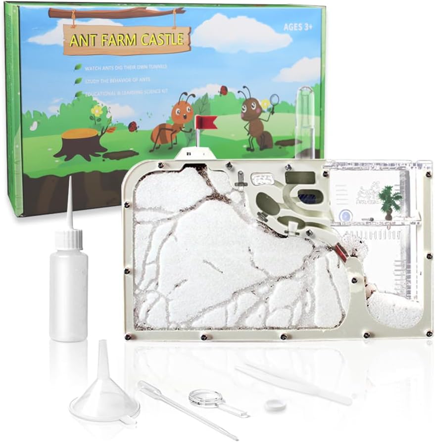 Amazon.com: ELNMLHT Ant Nest Farm Castle for Live Ants, Ant Colony ...