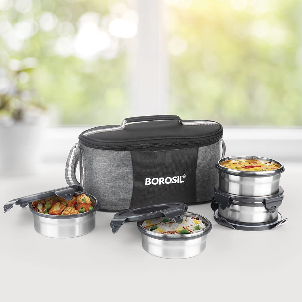 Buy Borosil Feast Stainless Steel Lunch Box, Set of 4 (400 ml x 2, 250 ...