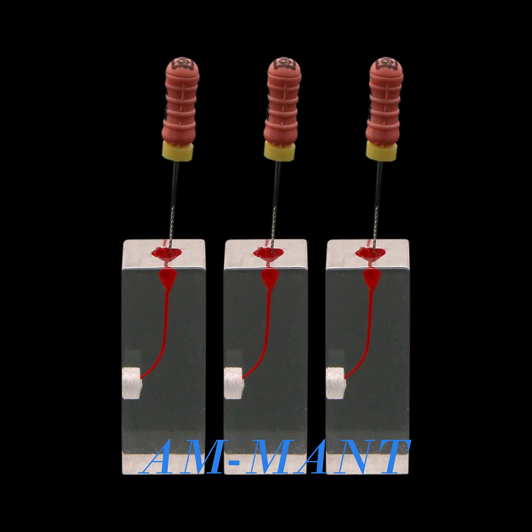 Buy Dental Endodontic Root Canal Study Model RCT Endodontic Rotary ...