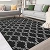 Amazon.com: Chicrug Shag Geometric 6x9 Area Rug for Living Room, Large ...
