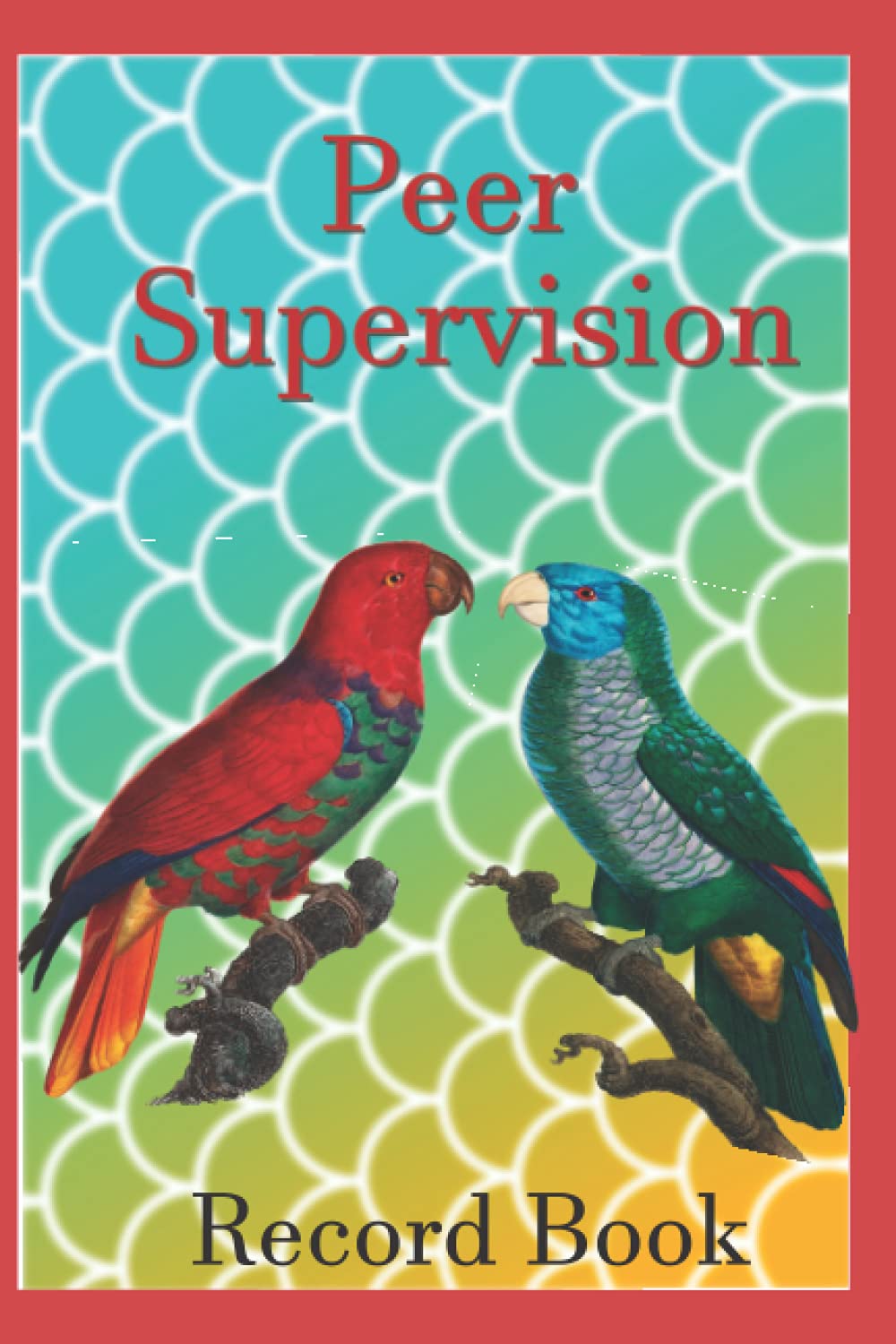 Buy Peer Supervision Record Book: A constructive way to progress in ...