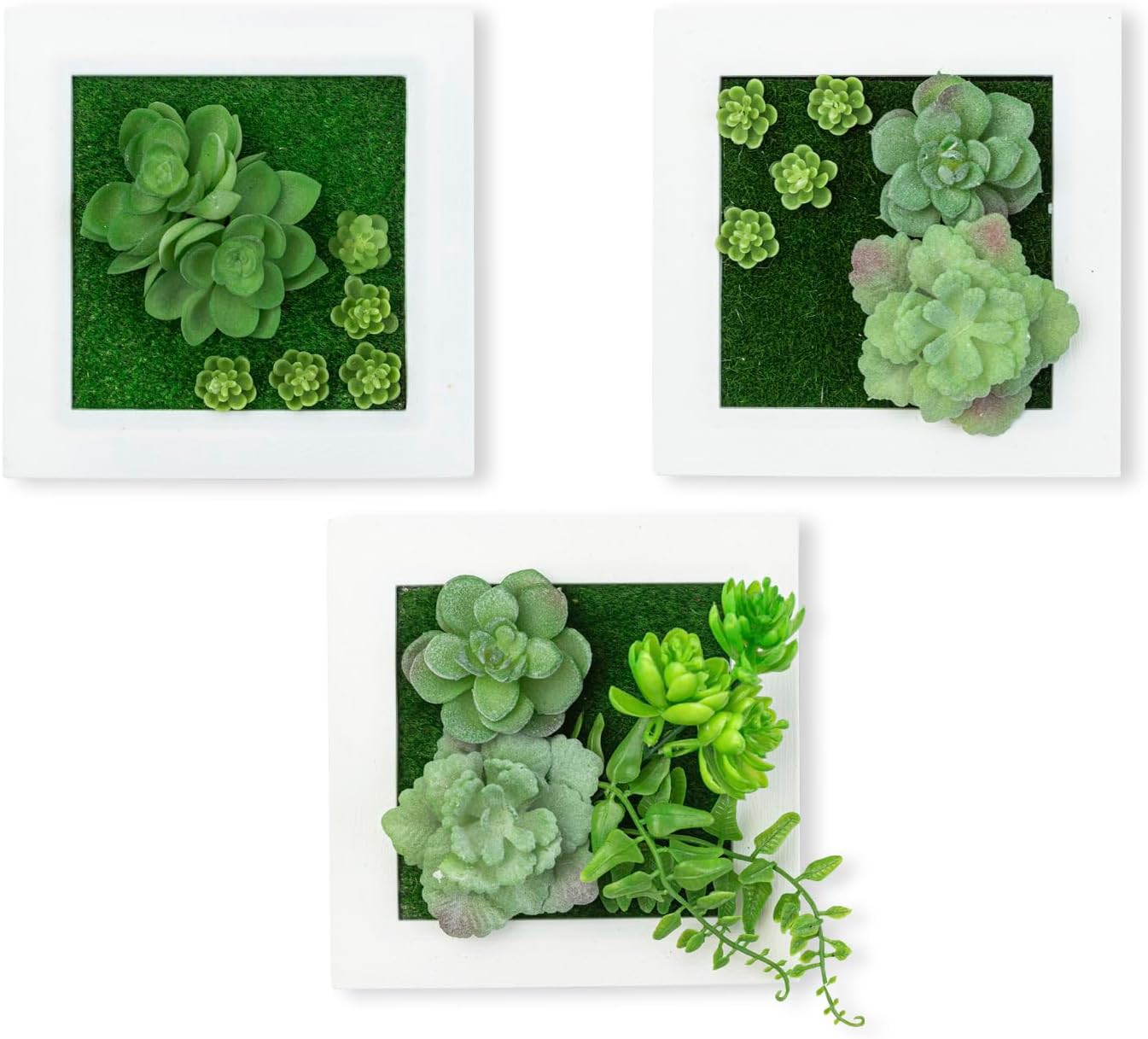 Amazon.com: Your Magic Moment Succulent Frame Set 3 pc Succulent Wall ...