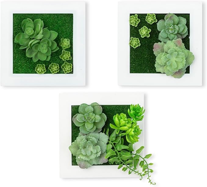 Amazon.com: Your Magic Moment Succulent Frame Set 3 pc Succulent Wall ...