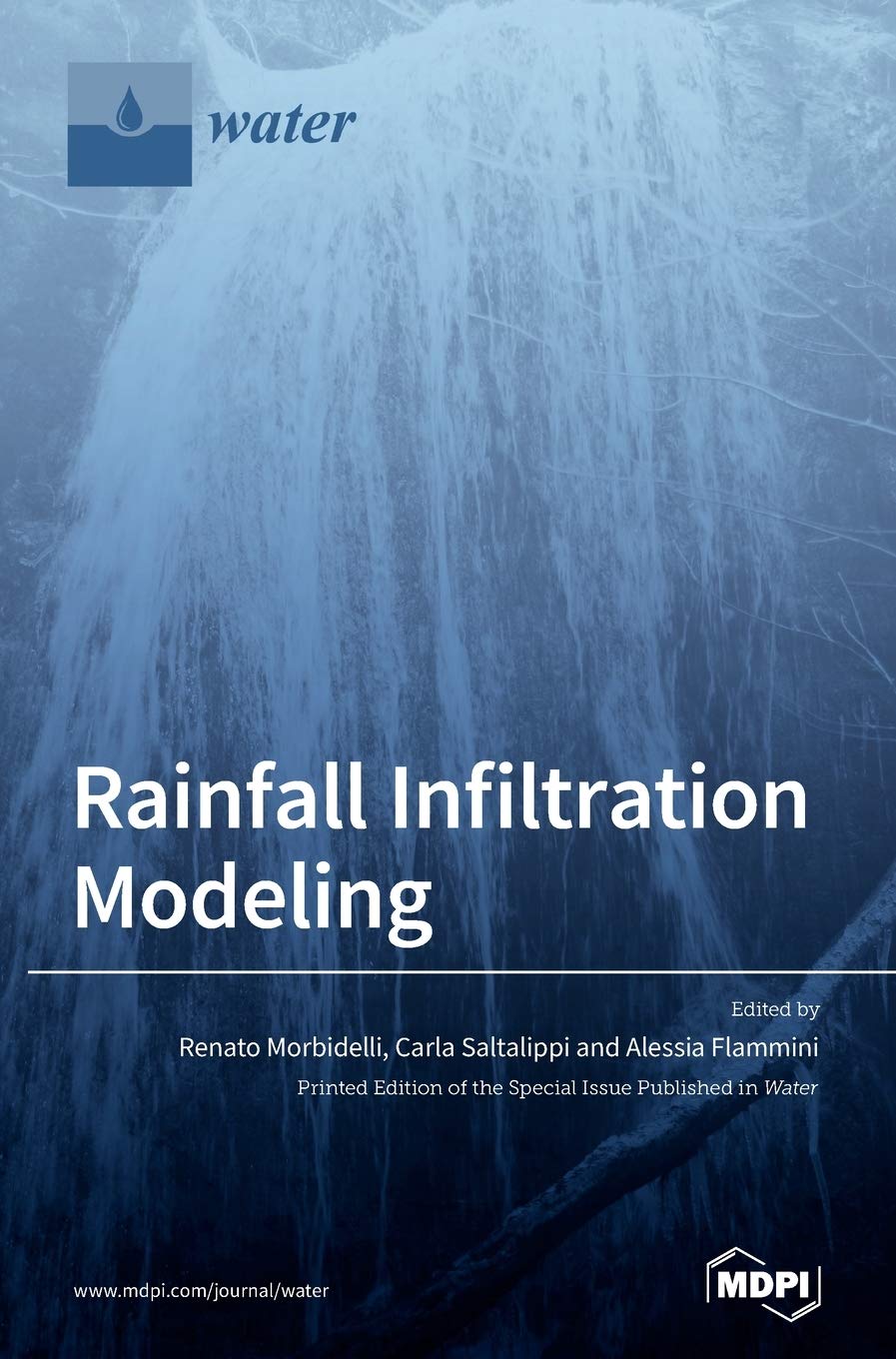 Buy Rainfall Infiltration Modeling Book Online at Low Prices in India ...