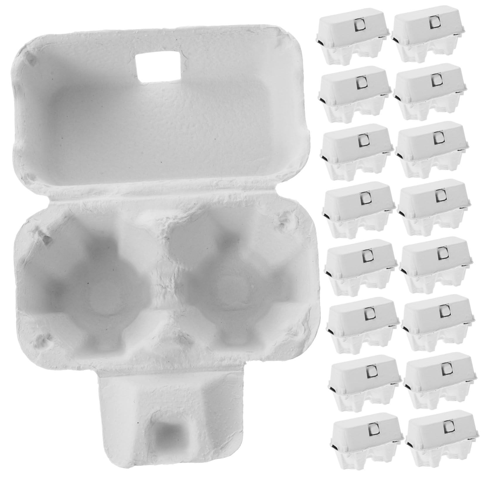 Amazon.com: KONTONTY 24pcs Boxes Egg Organizer Goose Paperplates Two ...
