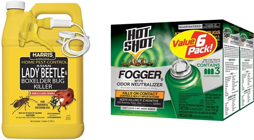 Amazon.com: HARRIS Asian Lady Beetle, Japanese Beetle, and Box Elder ...