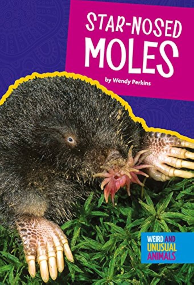 Weird Animals Star Nosed Moles Discover The Fascinating Star Nosed