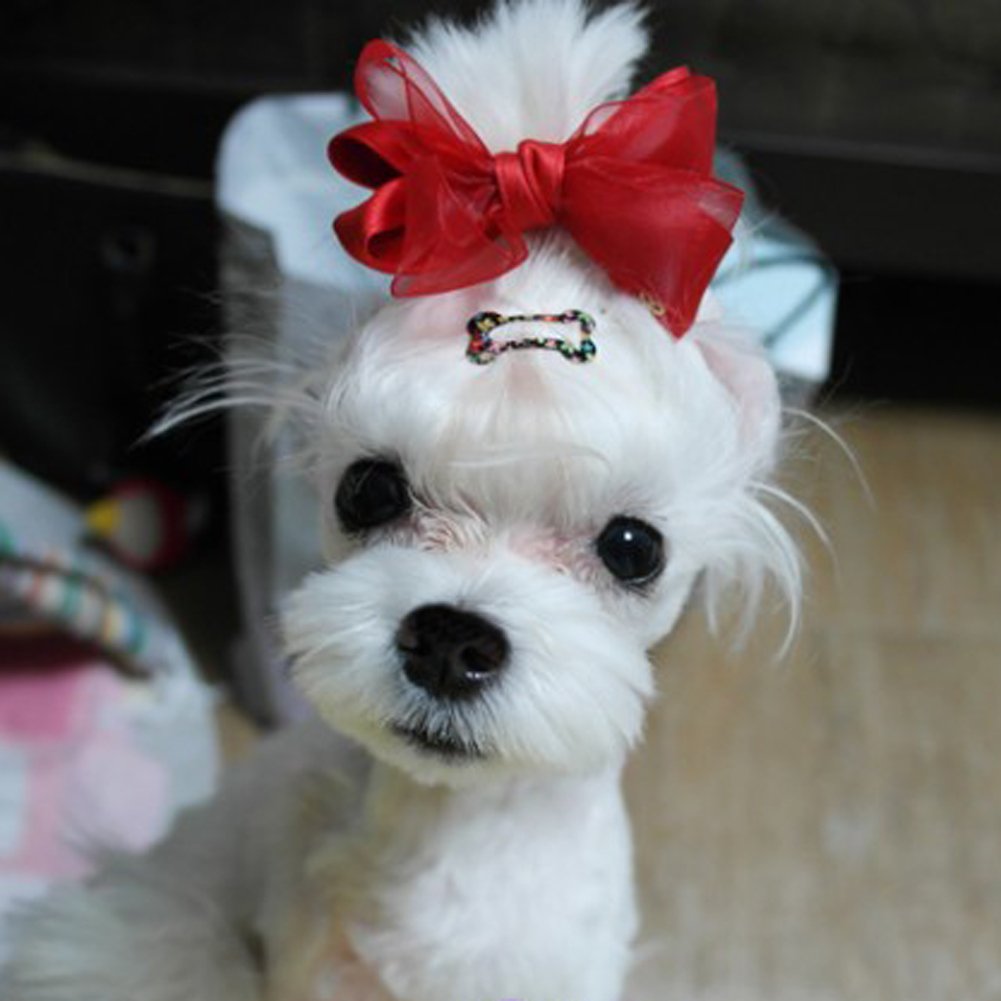 Michelle Dalessandro's Instagram, Twitter & Facebook on IDCrawl