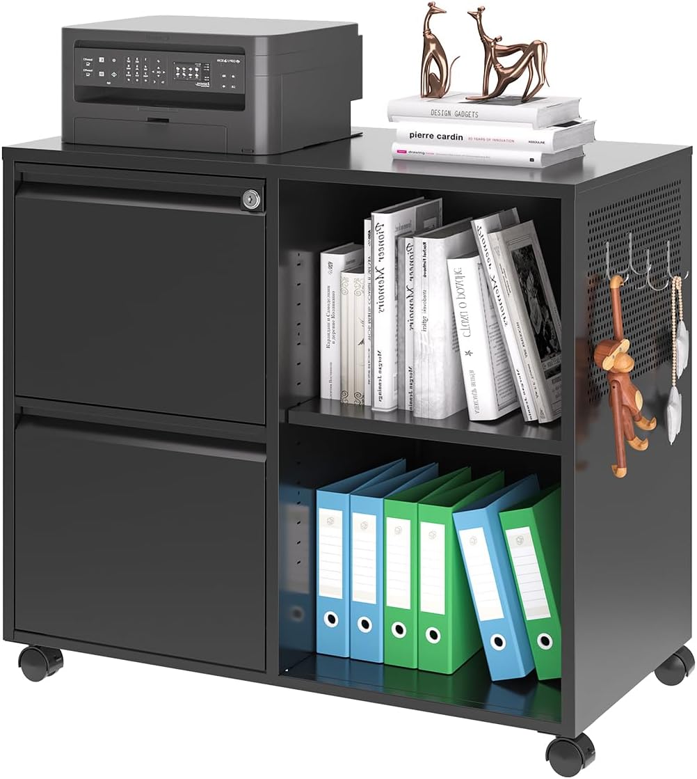 Amazon.com: Metal Office Cabinet with 2 Drawers & Adjustable Shelves ...