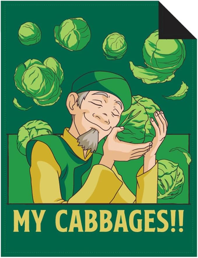 Franco Collectibles Avatar The Last Airbender Anime My Cabbages Bedding ...