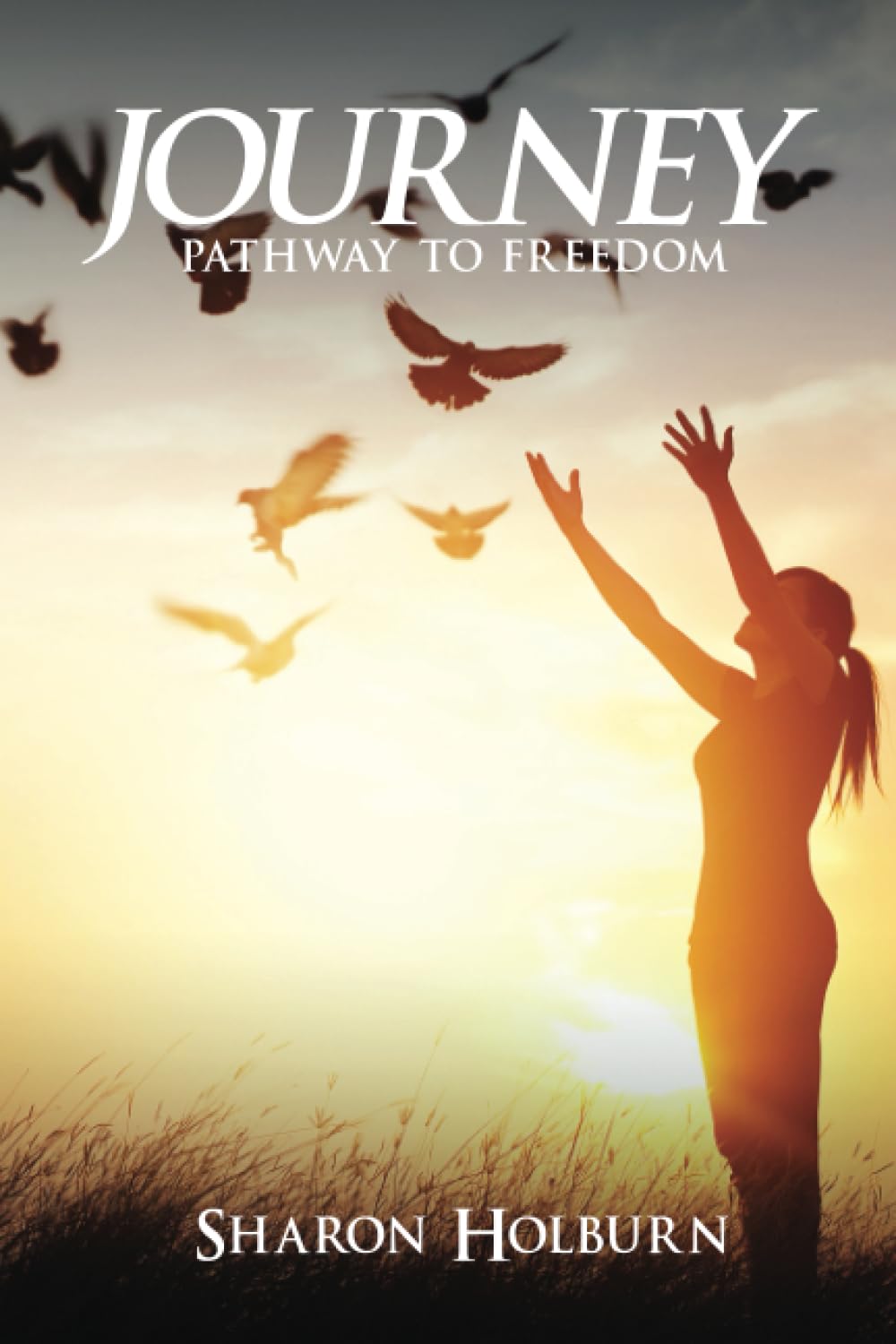 Journey: Pathway to Freedom: Holburn, Sharon: 9781916787131: Amazon.com: Books