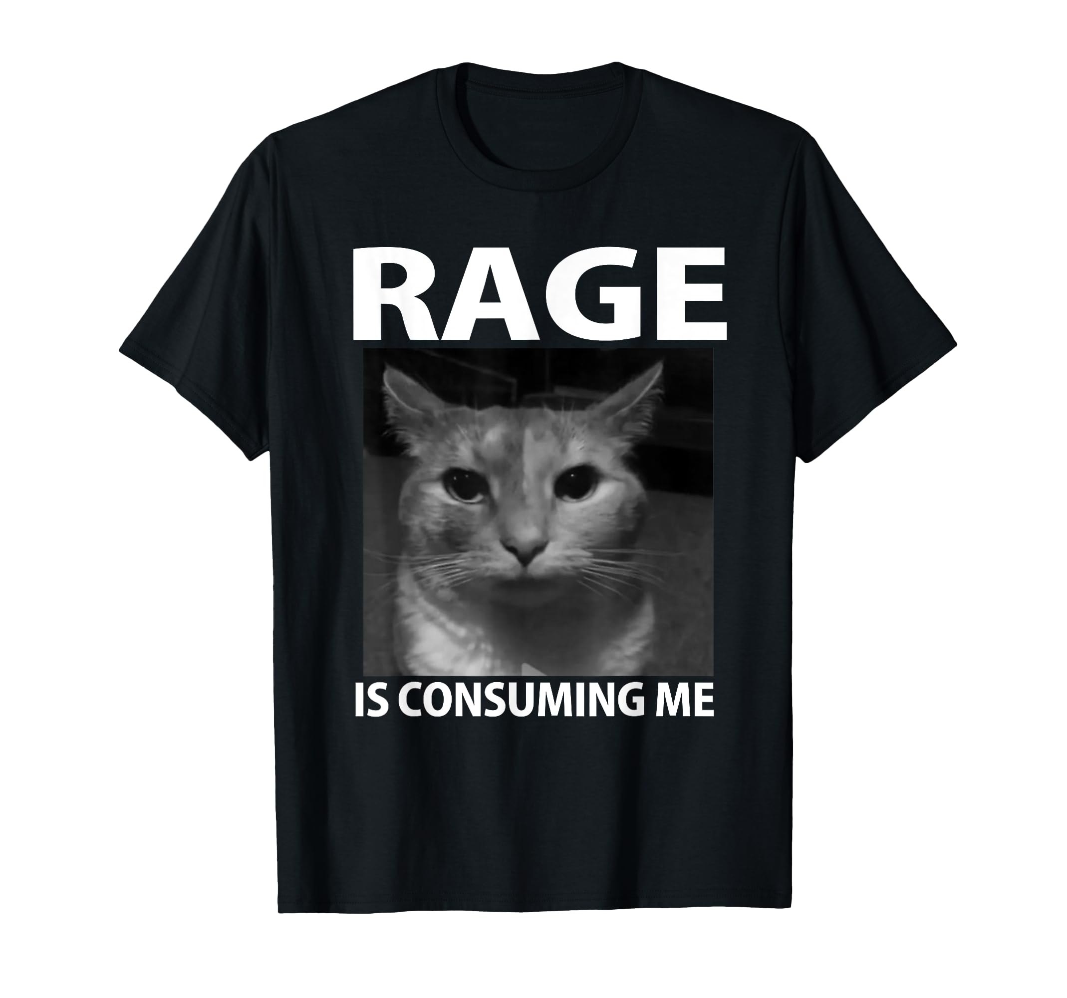 Amazon.com: Rage is Consuming Me Silly Staring Cat Meme T-Shirt ...