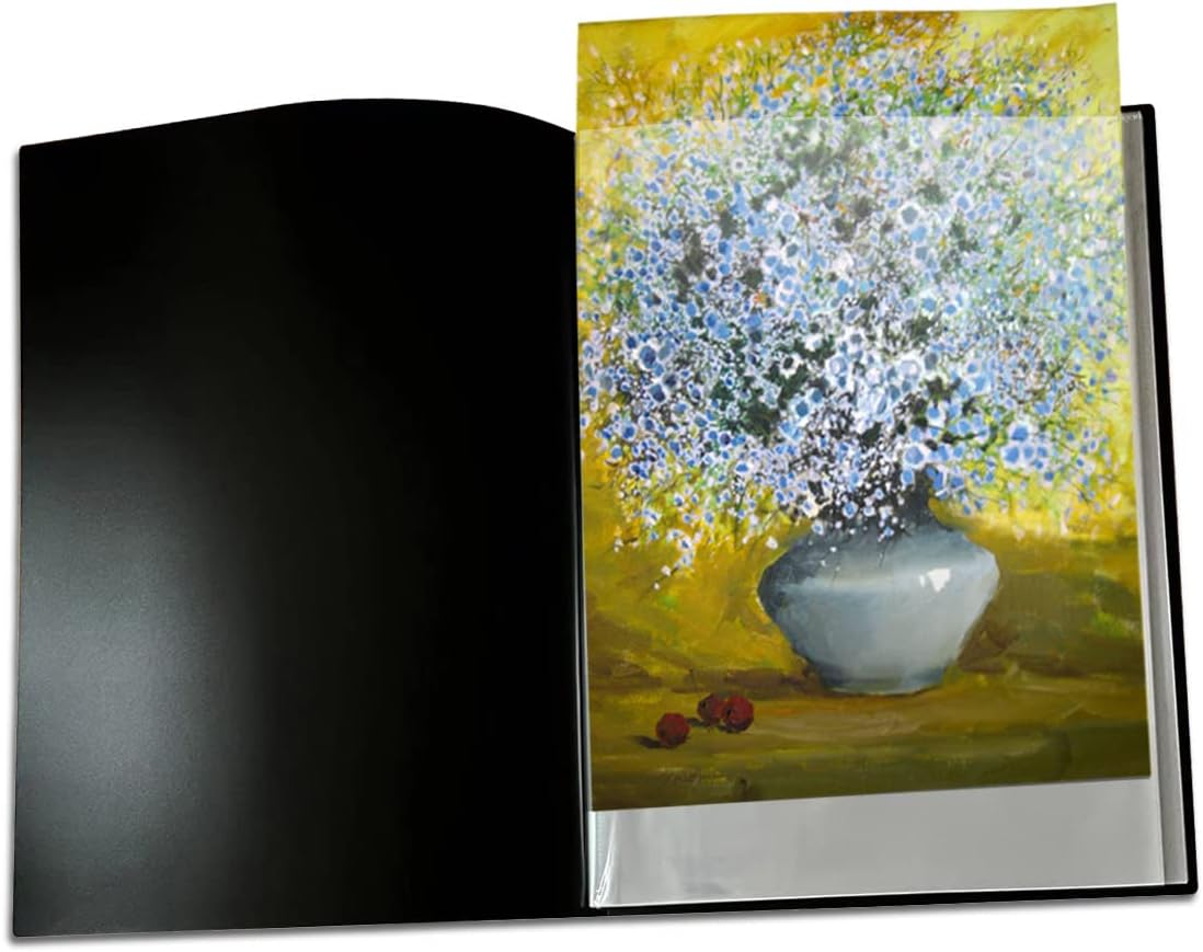 Amazon.com : Lucky Shin B2 Poster File, Clear File, 20 Pockets for 40 ...