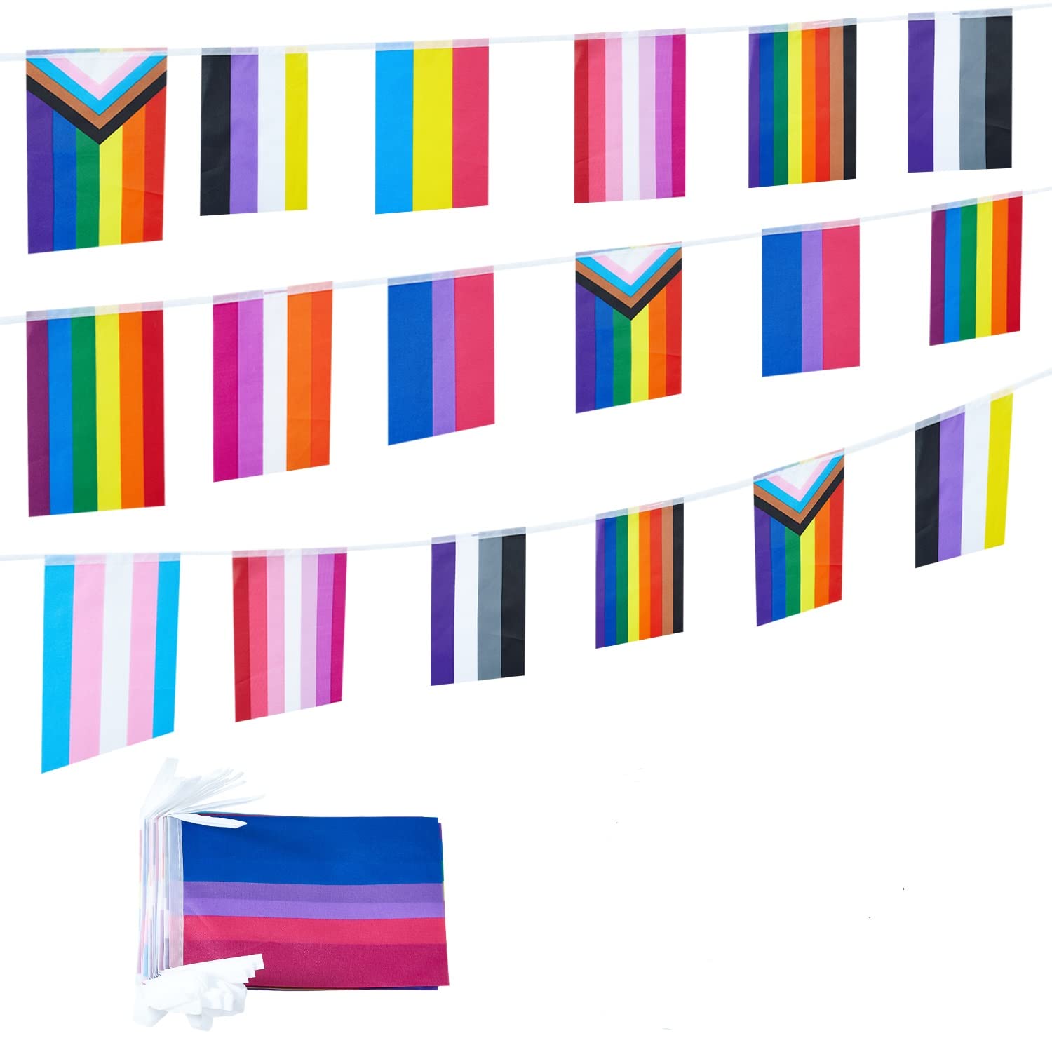 Amazon.com: ZXvZYT Pride Rainbow Flags Banner String Set,Small Mini ...