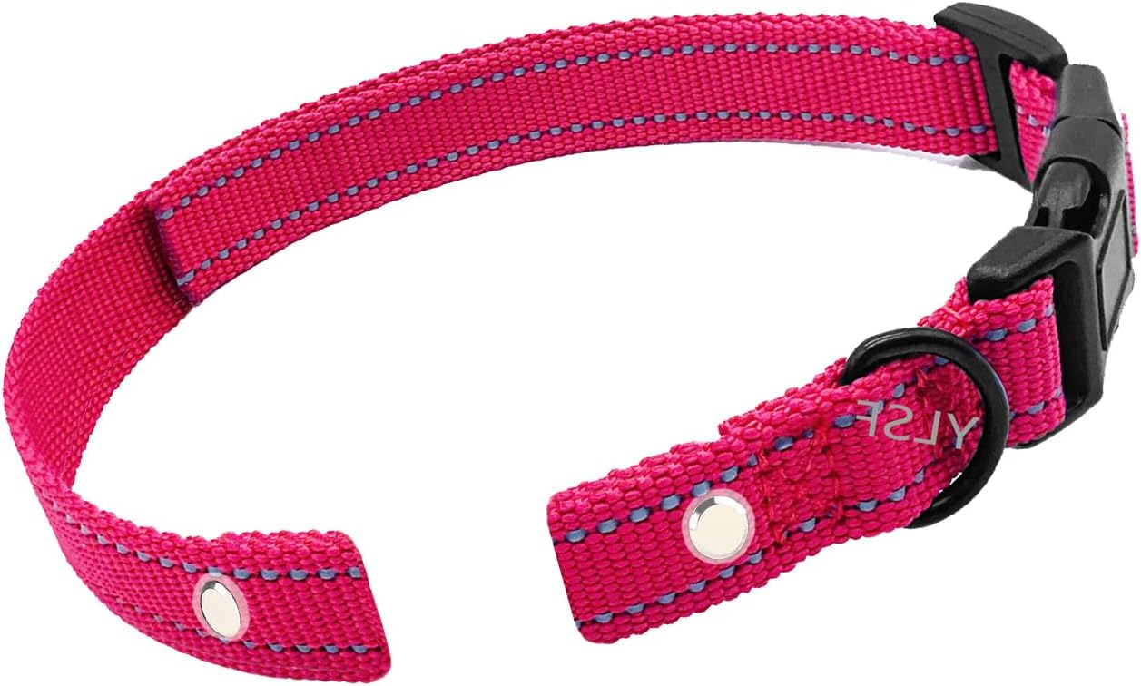 Amazon.com : Replacement ¾” Collar Strap Bands with Double Buckle Loop ...