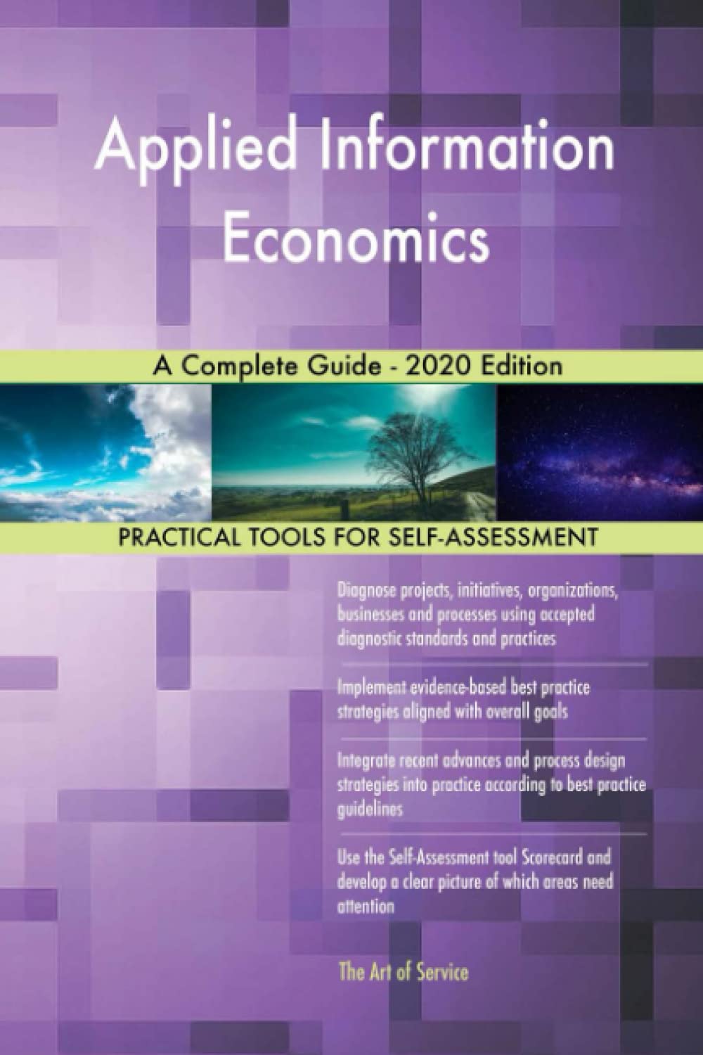 Applied Information Economics A Complete Guide - 2020 Edition: Gerardus ...