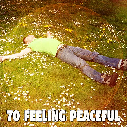 Play 70 Feeling Peaceful by Relaxing With Sounds of Nature and Spa ...