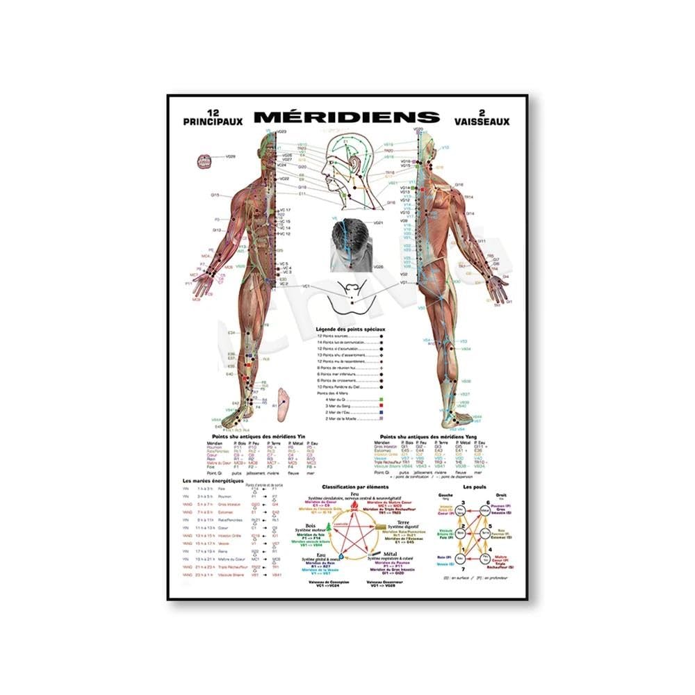 Chinese Meridians Anatomy Posters Chinese Acupuncture Chart, 18th