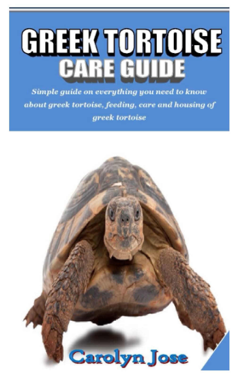 Greek Tortoise Care Guide Simple Guide On Everything You Need ...