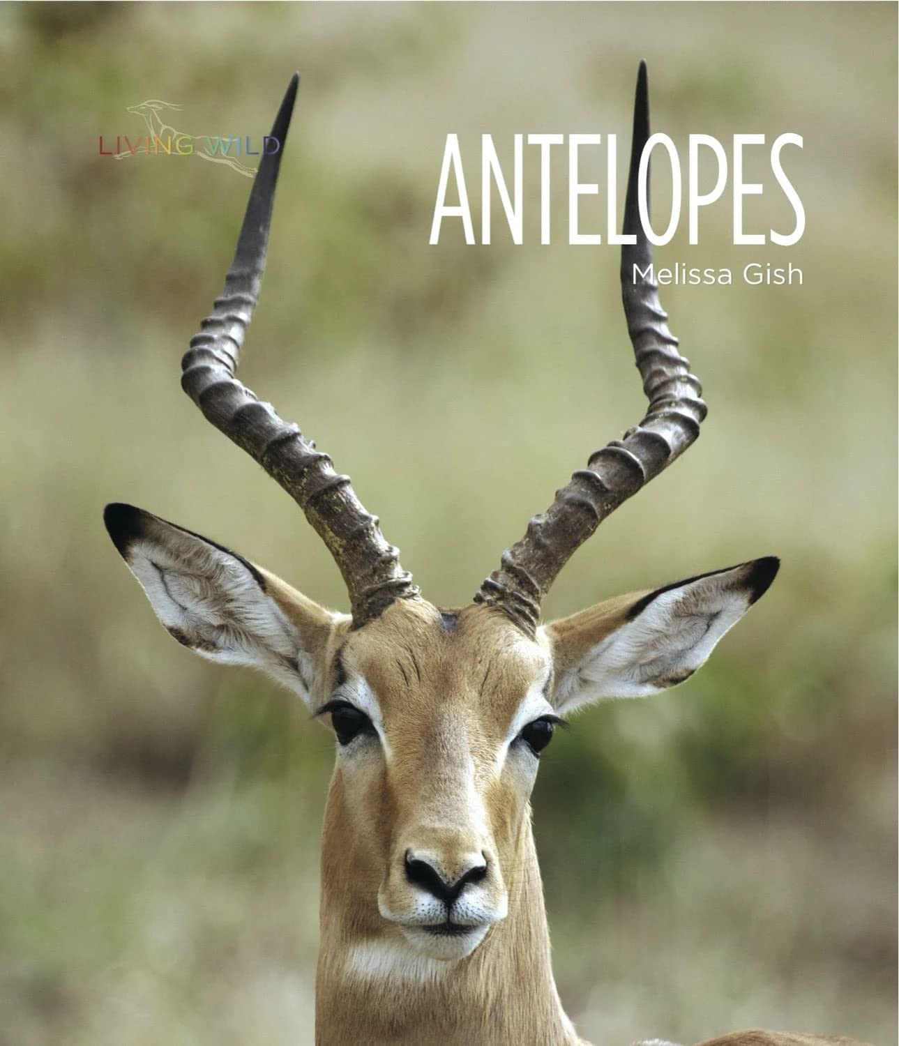 Antelopes (Living Wild): Gish, Melissa: 9781608182848: Amazon.com: Books