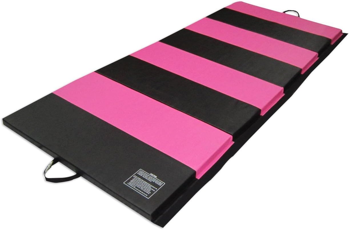 Amazon.com : Greatgymats 4'x10'x2 Thick Large Folding Gymnastics Mat ...